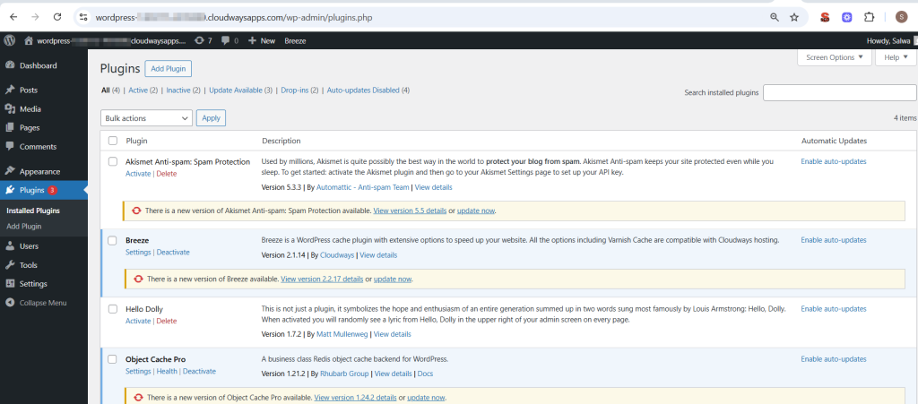 Disable Conflicting Plugins