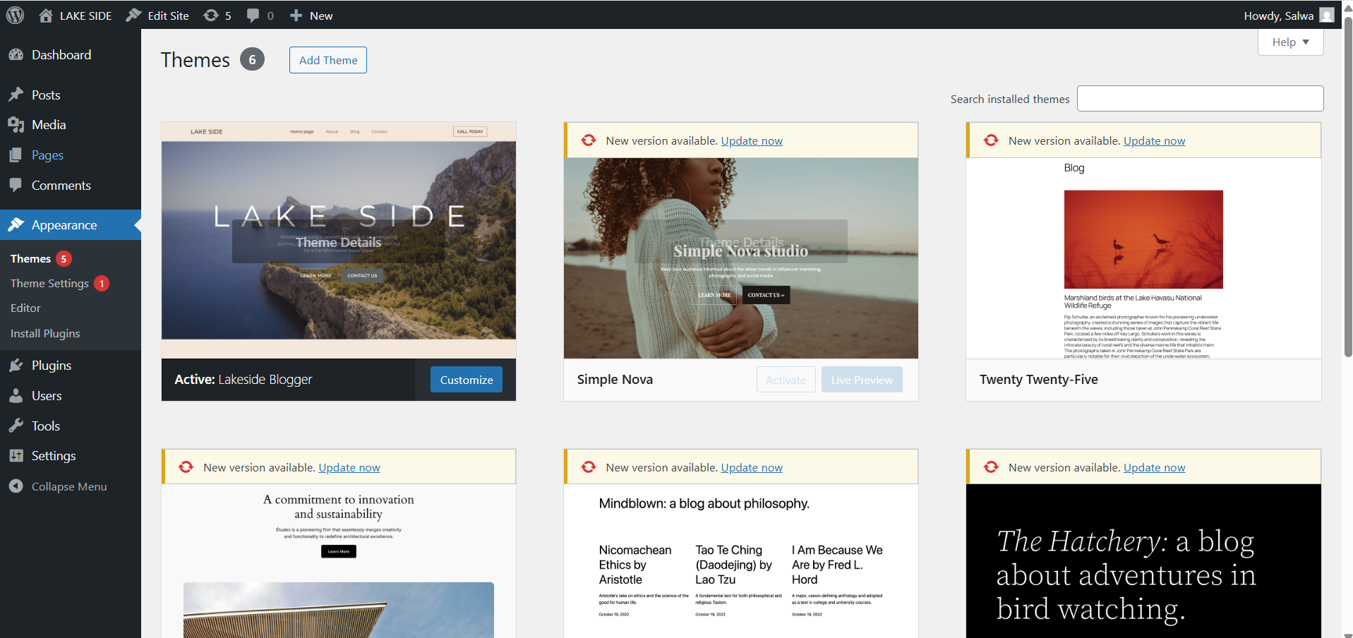 How to Remove, Uninstall, and Delete a WordPress Theme Safely