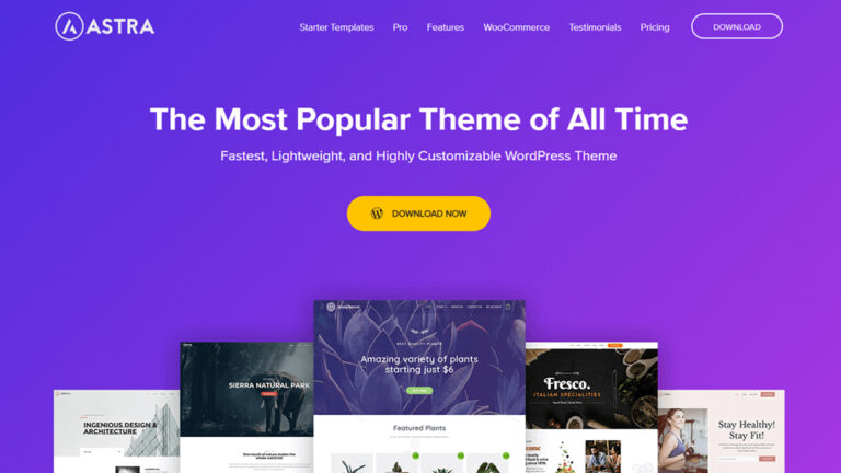 Astra WordPress Theme Review: A Deeper Look at the Popular Theme
