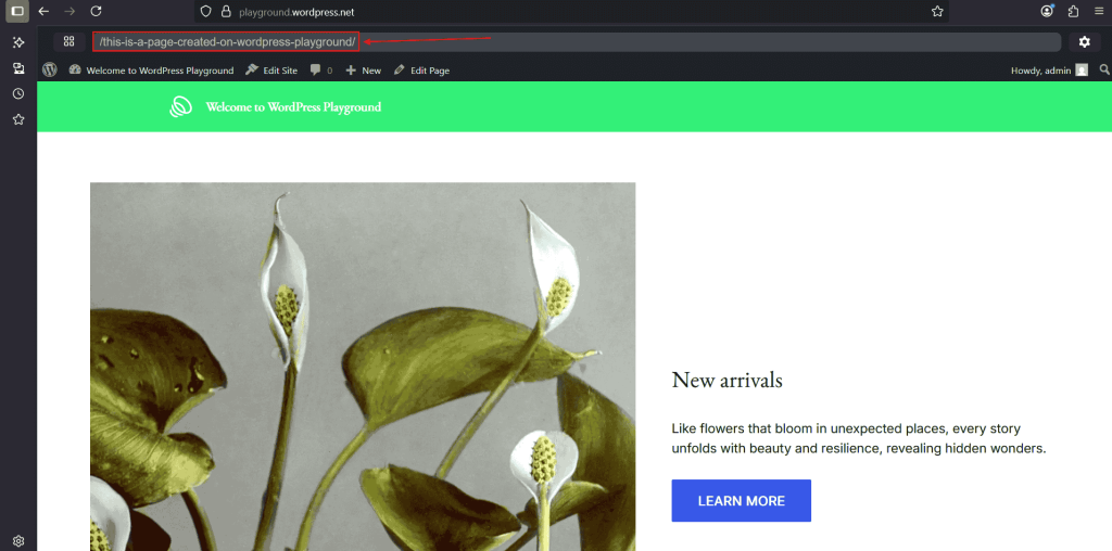 WordPress Playground Explained: What It Is and How to Use It