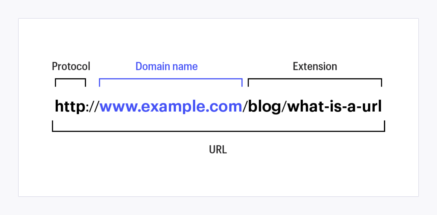 How to Avoid Common Domain Mistakes for WordPress Sites