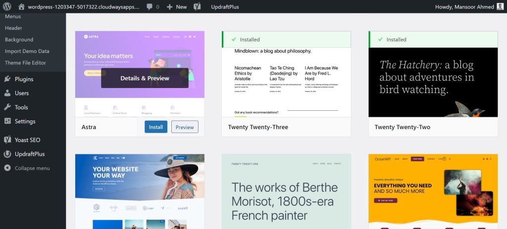 How to Install a WordPress Theme - Beginner-Friendly Guide